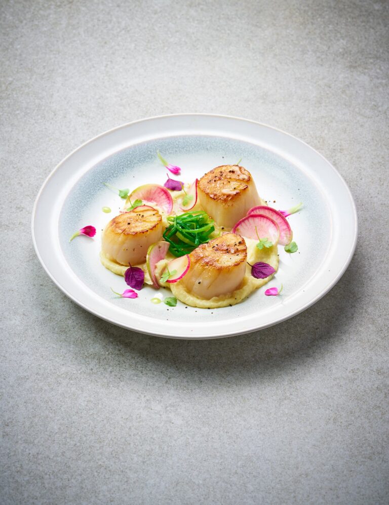 Pan-seared scallops, parsnip mousseline and red meat radish - Rougié