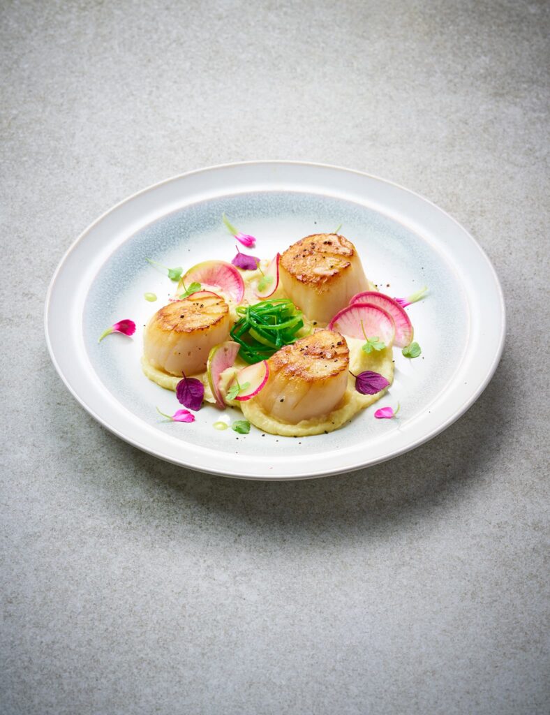 Vieiras salteadas, puré de chirivía y rábanos red meat - Rougié